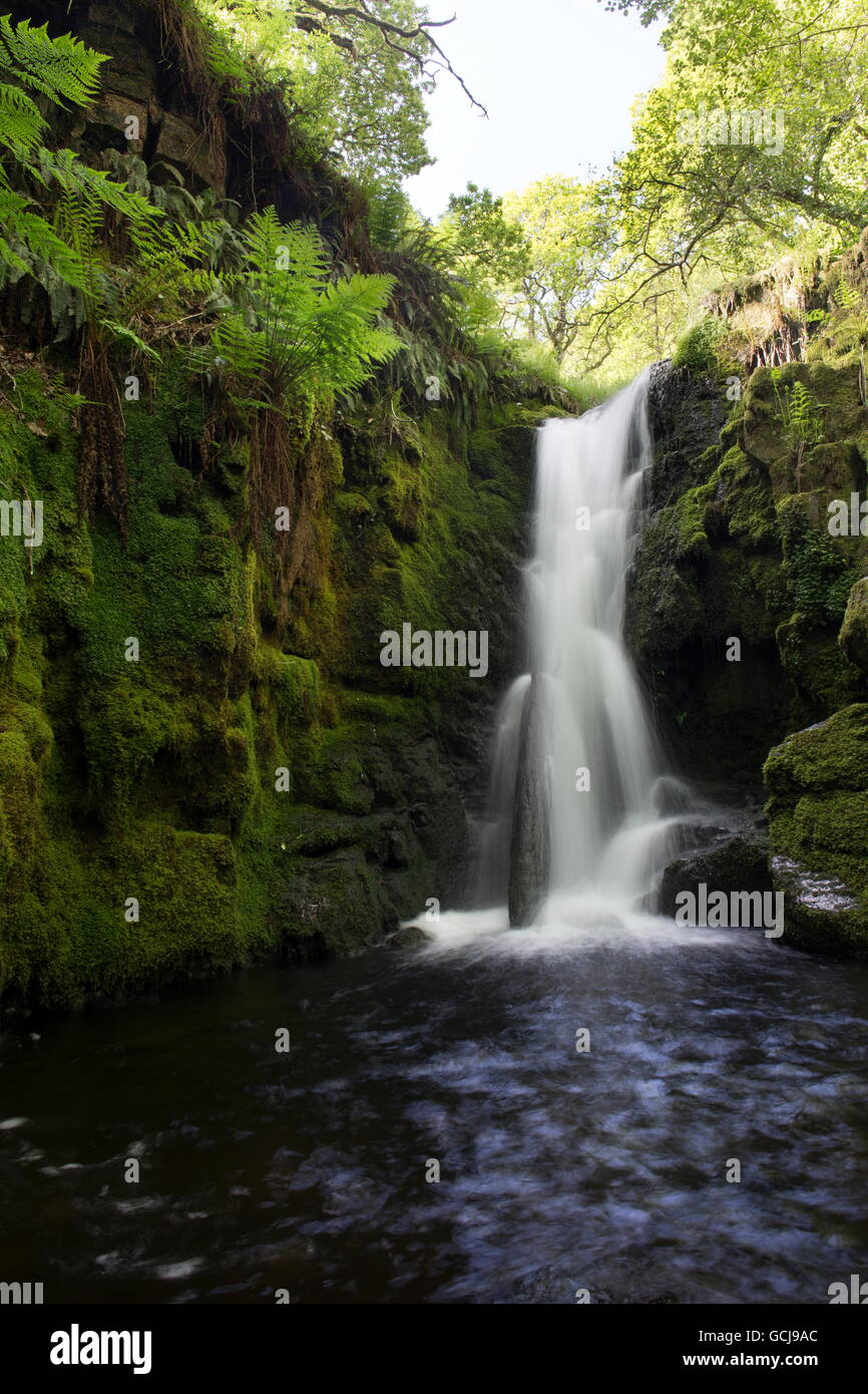 Hidden waterfall dark moss hi-res stock photography and images - Alamy