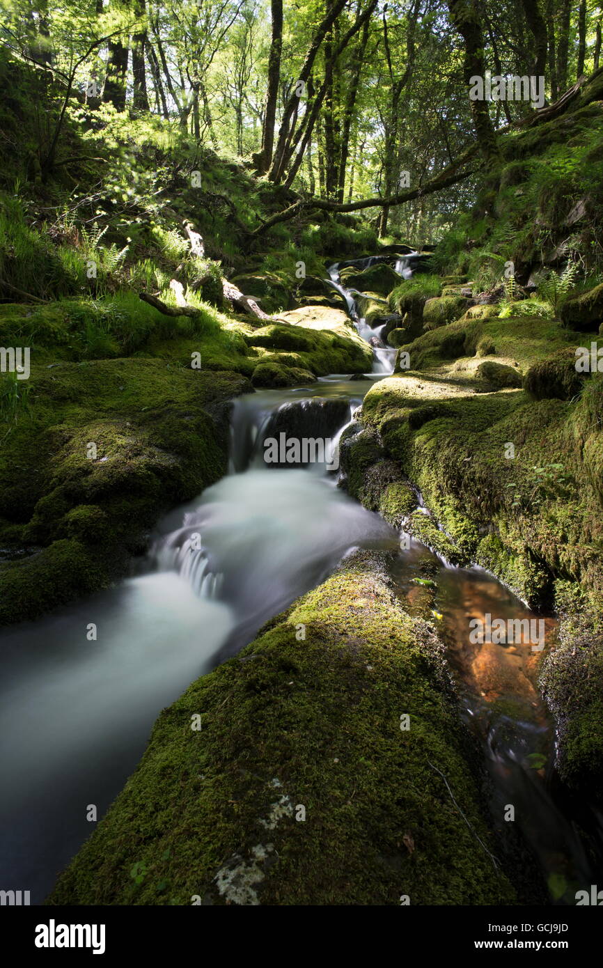 Hidden waterfall dark moss hi-res stock photography and images - Alamy