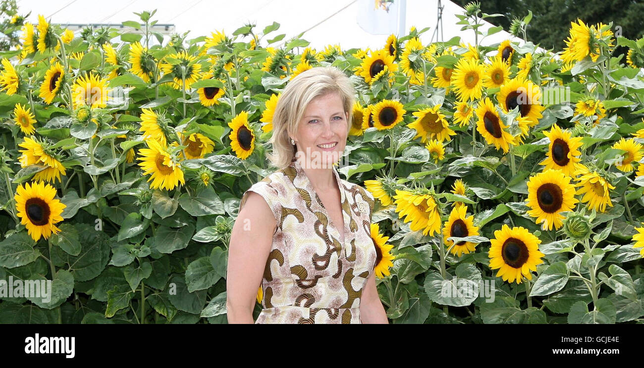 Hampton Court Palace flower show 2010 Stock Photo - Alamy