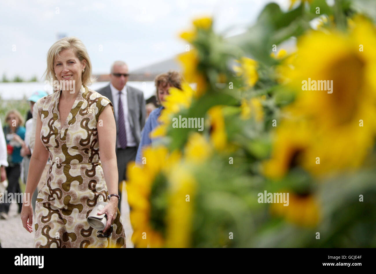 Hampton Court Palace flower show 2010 Stock Photo - Alamy