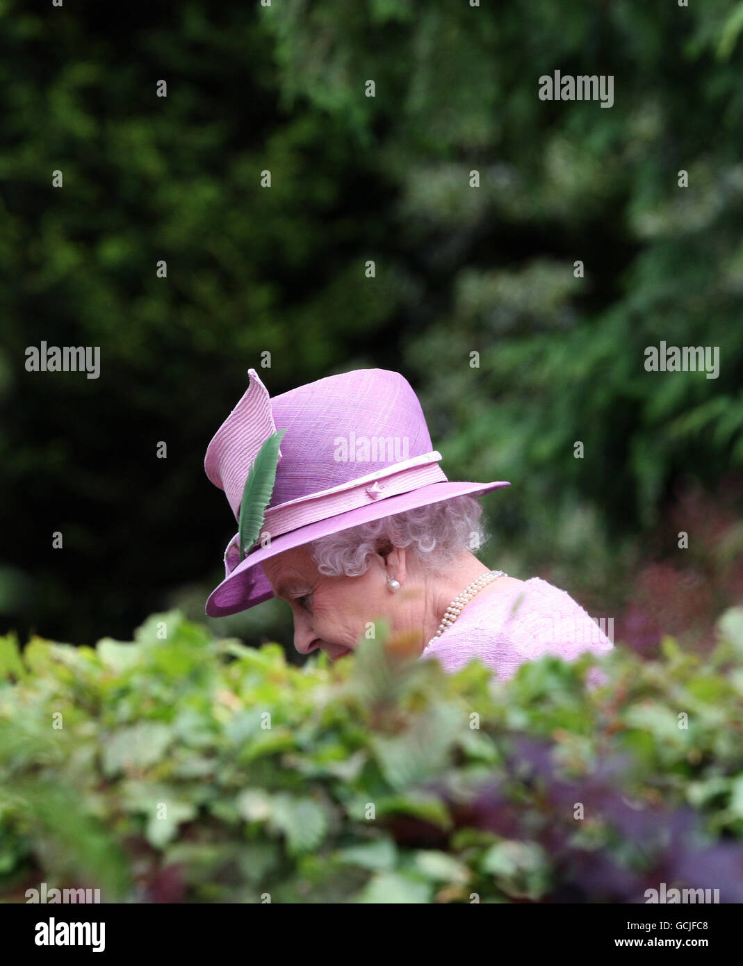 Head shot headshot portrait profile royal royals royalty hat mangsk hi ...