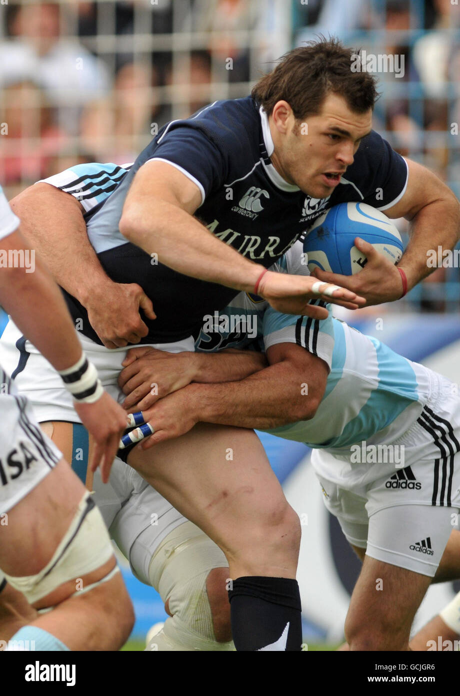 Estadio de rugby union hi-res stock photography and images - Alamy