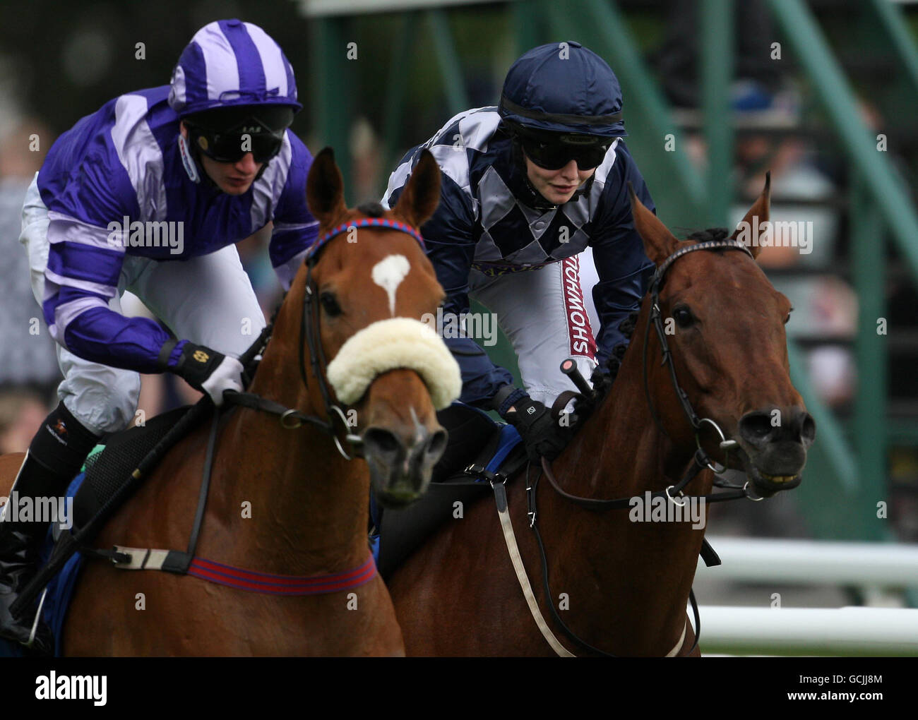 Horse Racing - World Cup Day - Hamilton Racecourse Stock Photo - Alamy