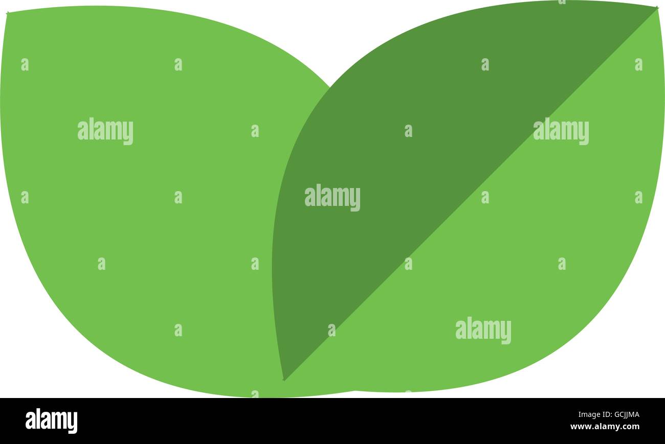 simple leaves vector illustration Stock Vector Image & Art - Alamy