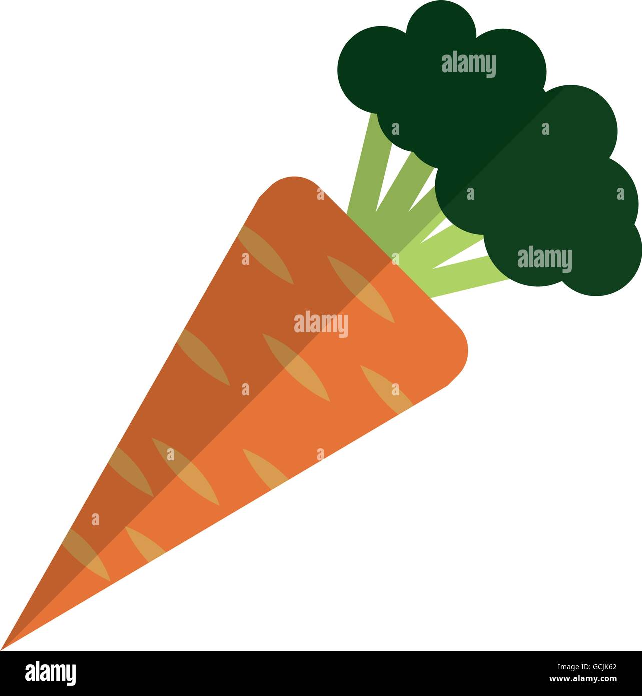 whole carrot icon Stock Vector Image & Art - Alamy