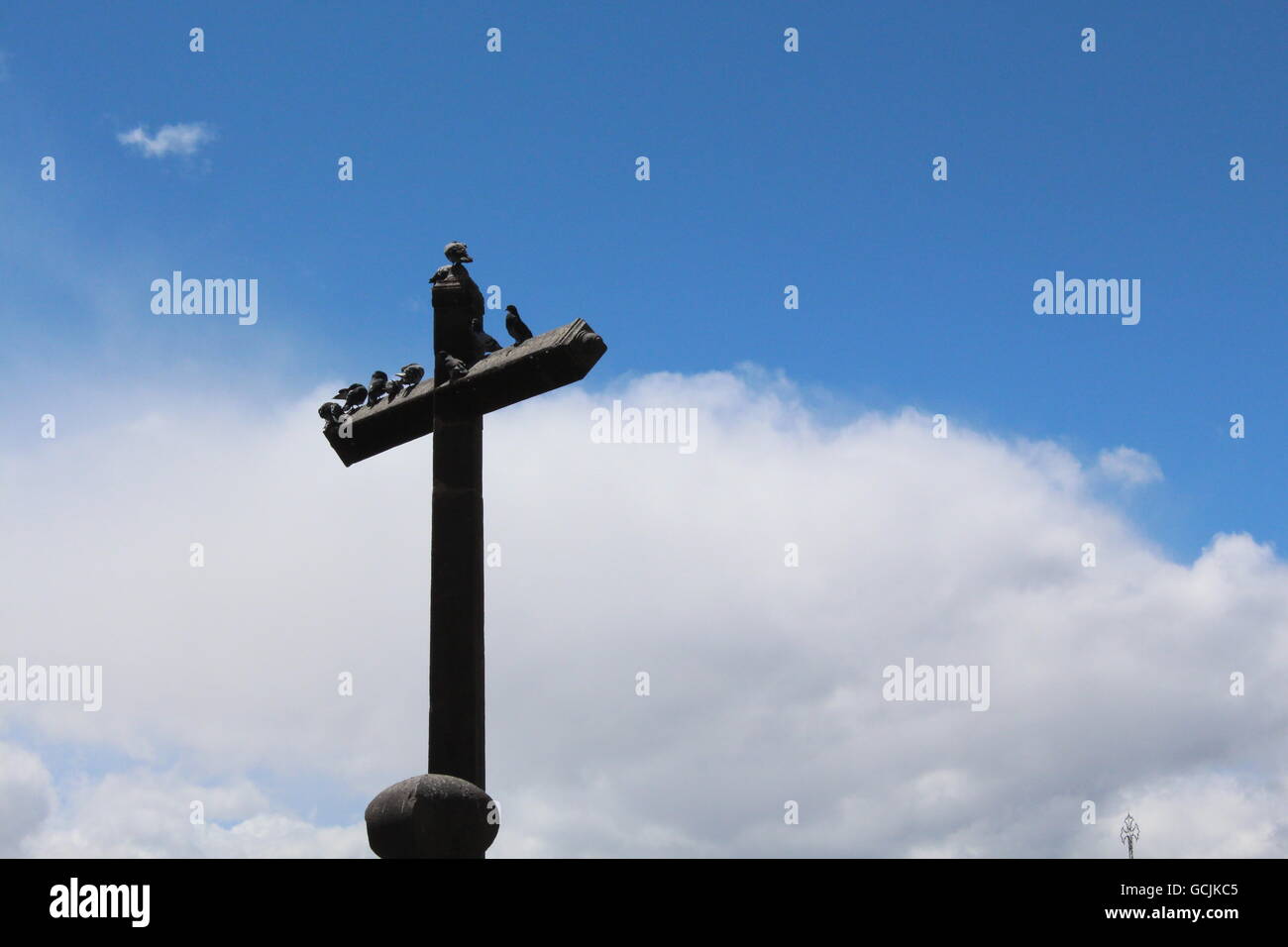 Birds Perched on Cross Stock Photo - Alamy
