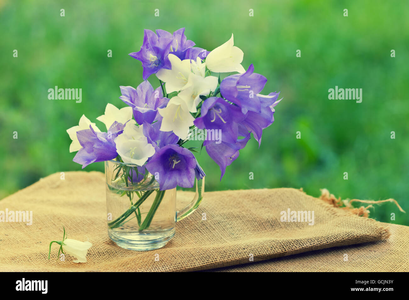 Bouquet of Bluebells flowers in the garden Stock Photo - Alamy