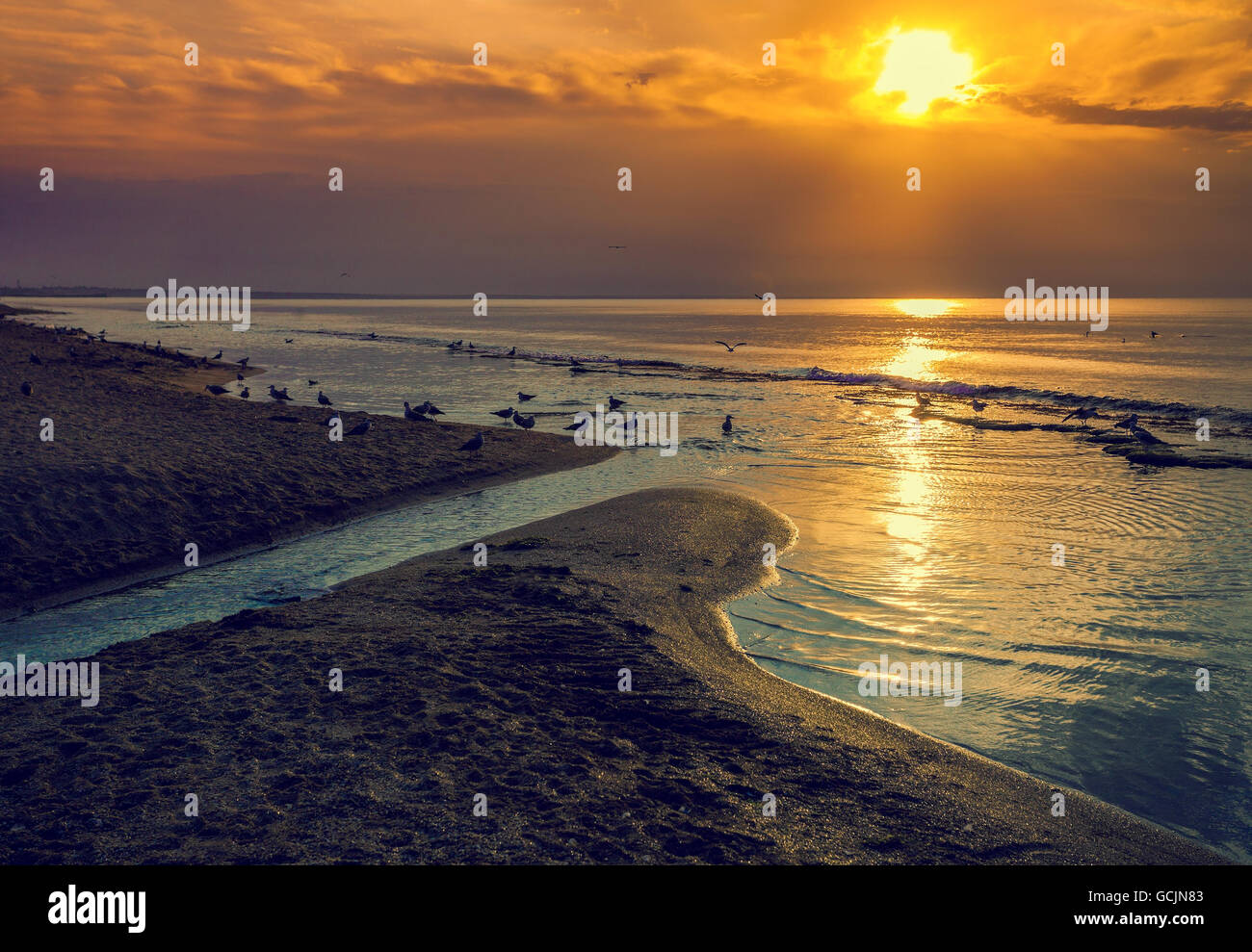 Early morning, sunrise over beach. River delta on the sea shore Stock ...