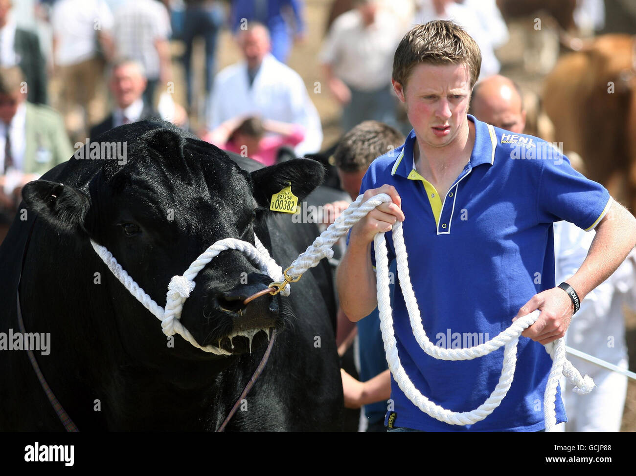 Edinburgh royal highland show hi-res stock photography and images - Alamy