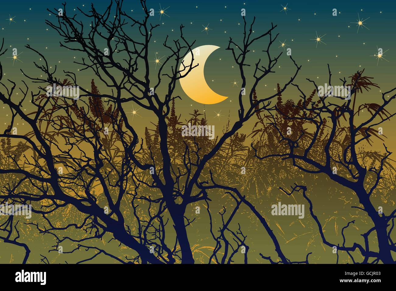 Spooky grunge forest illustration for halloween. Vector illustration ...
