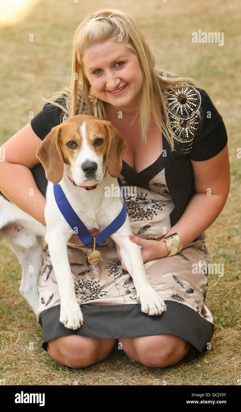 Pdsa gold medal hi-res stock photography and images - Alamy