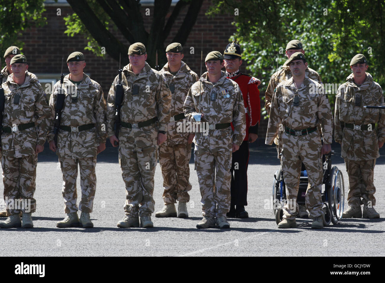 Operation Herrick medal ceremony Stock Photo - Alamy