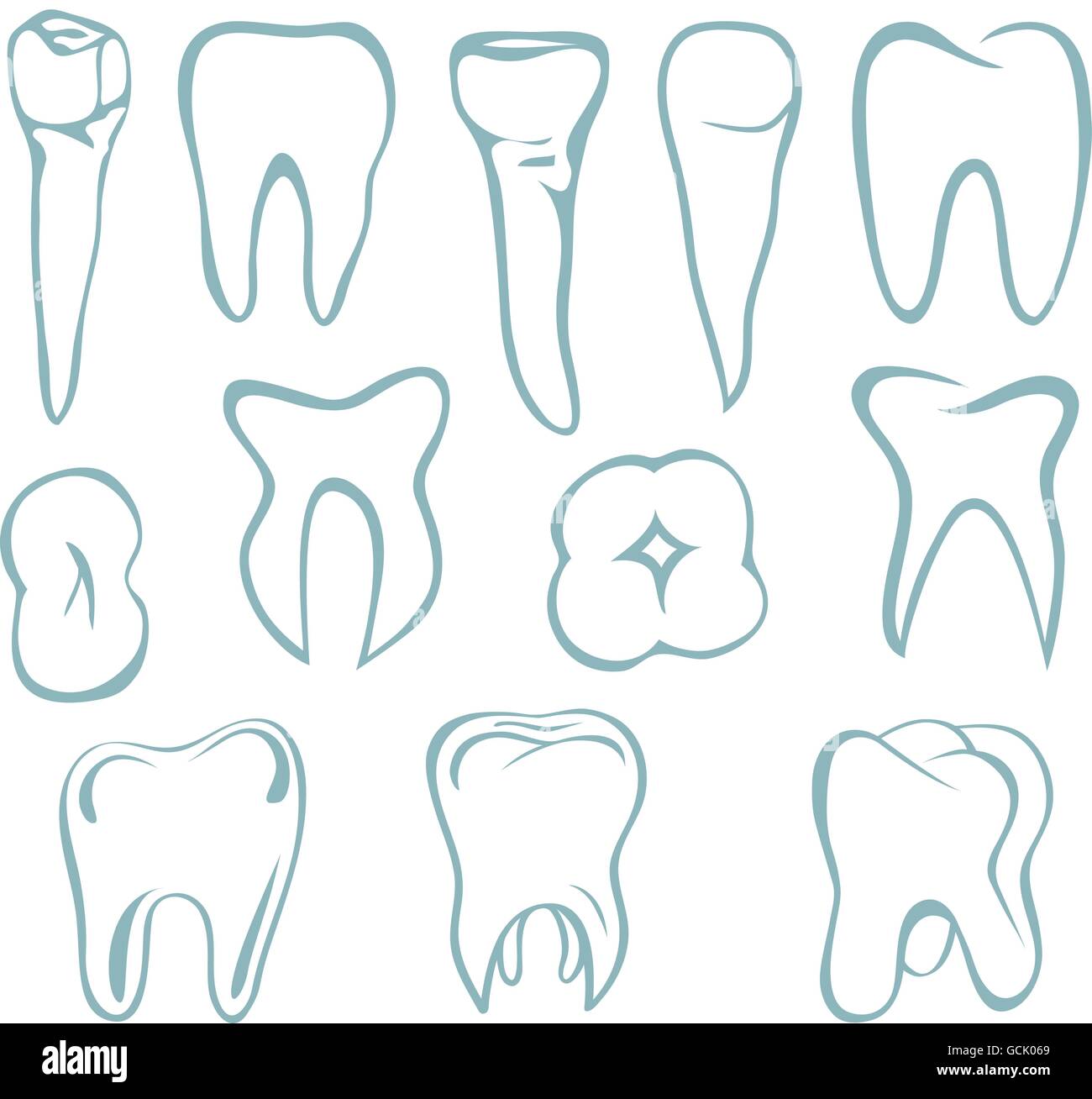 Human teeth set isolated on white background for dental medicine ...