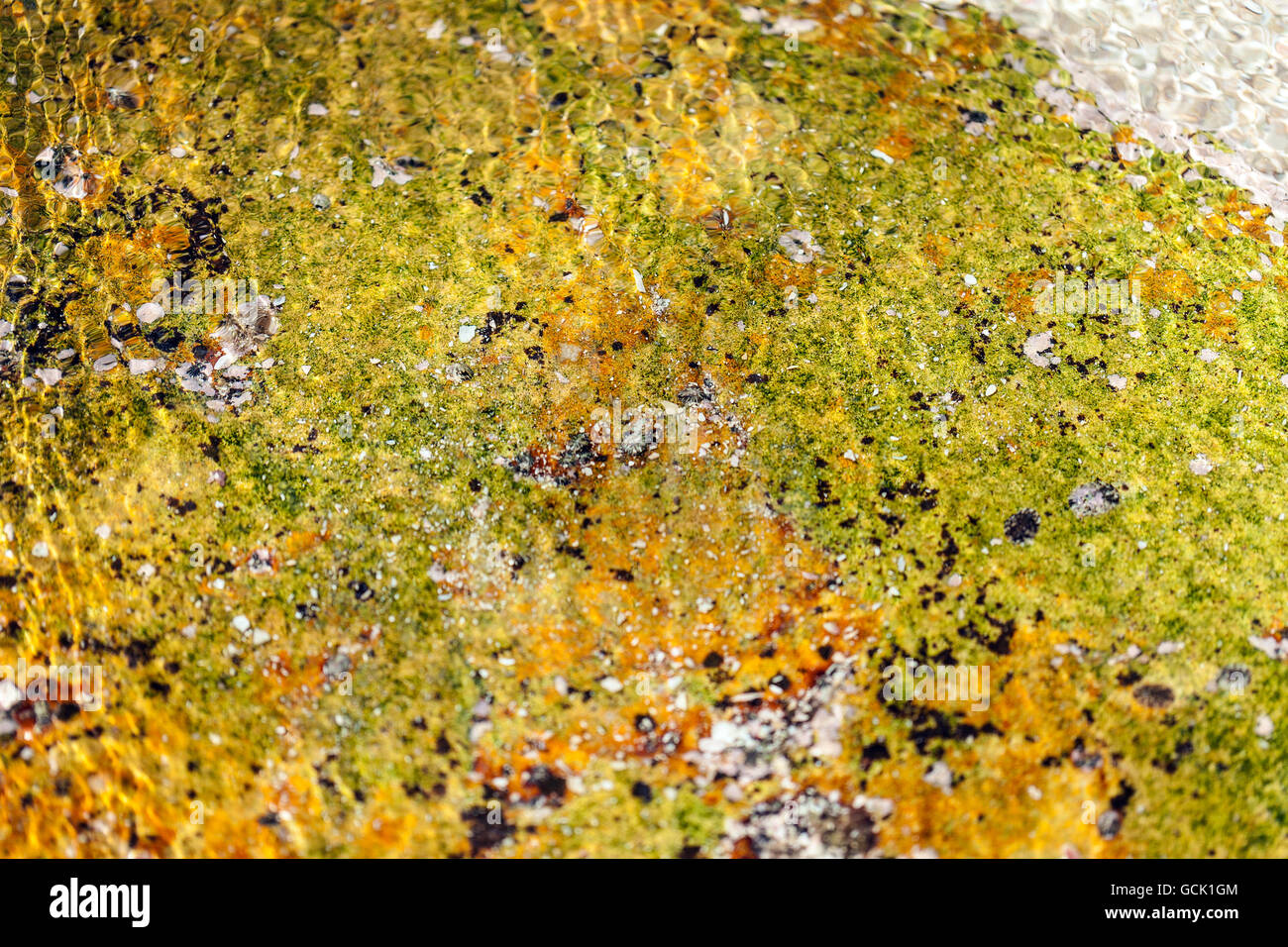 Ocean rock underwater floor hi-res stock photography and images - Alamy