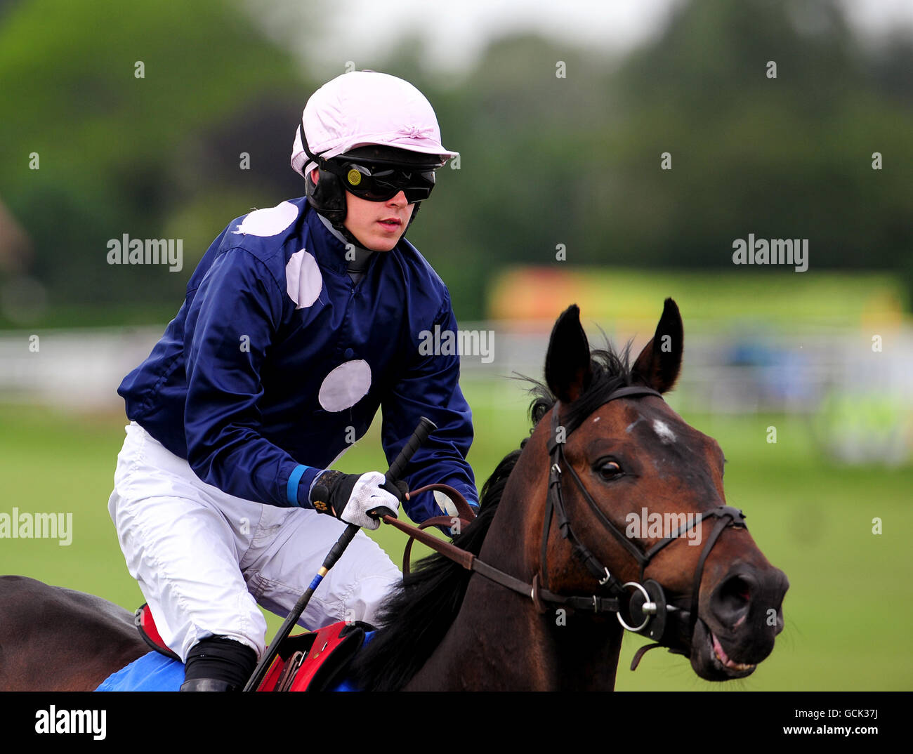 Racing market rasen hi-res stock photography and images - Alamy
