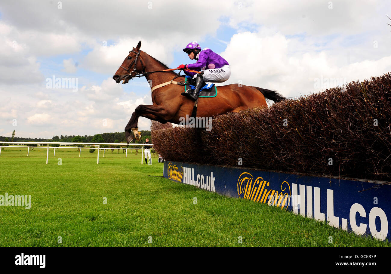 Market rasen racecourse general hi-res stock photography and images - Alamy