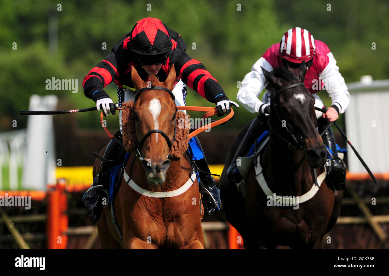Strobe ridden by Alexander Voy (left) and Marlborough Sound ridden by ...