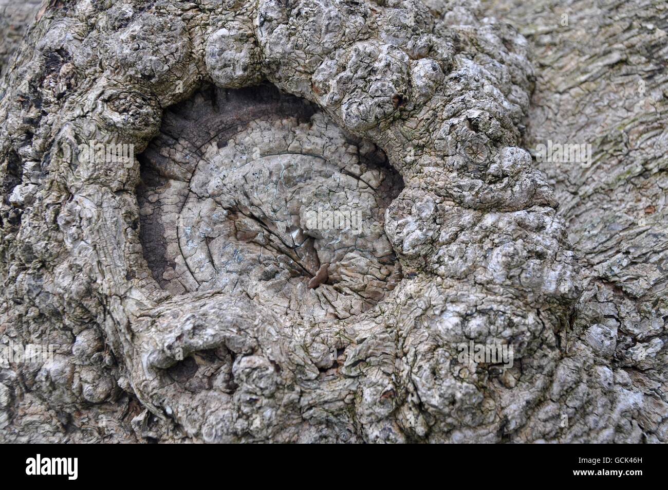 Bumpy surface close up full frame hi-res stock photography and images ...