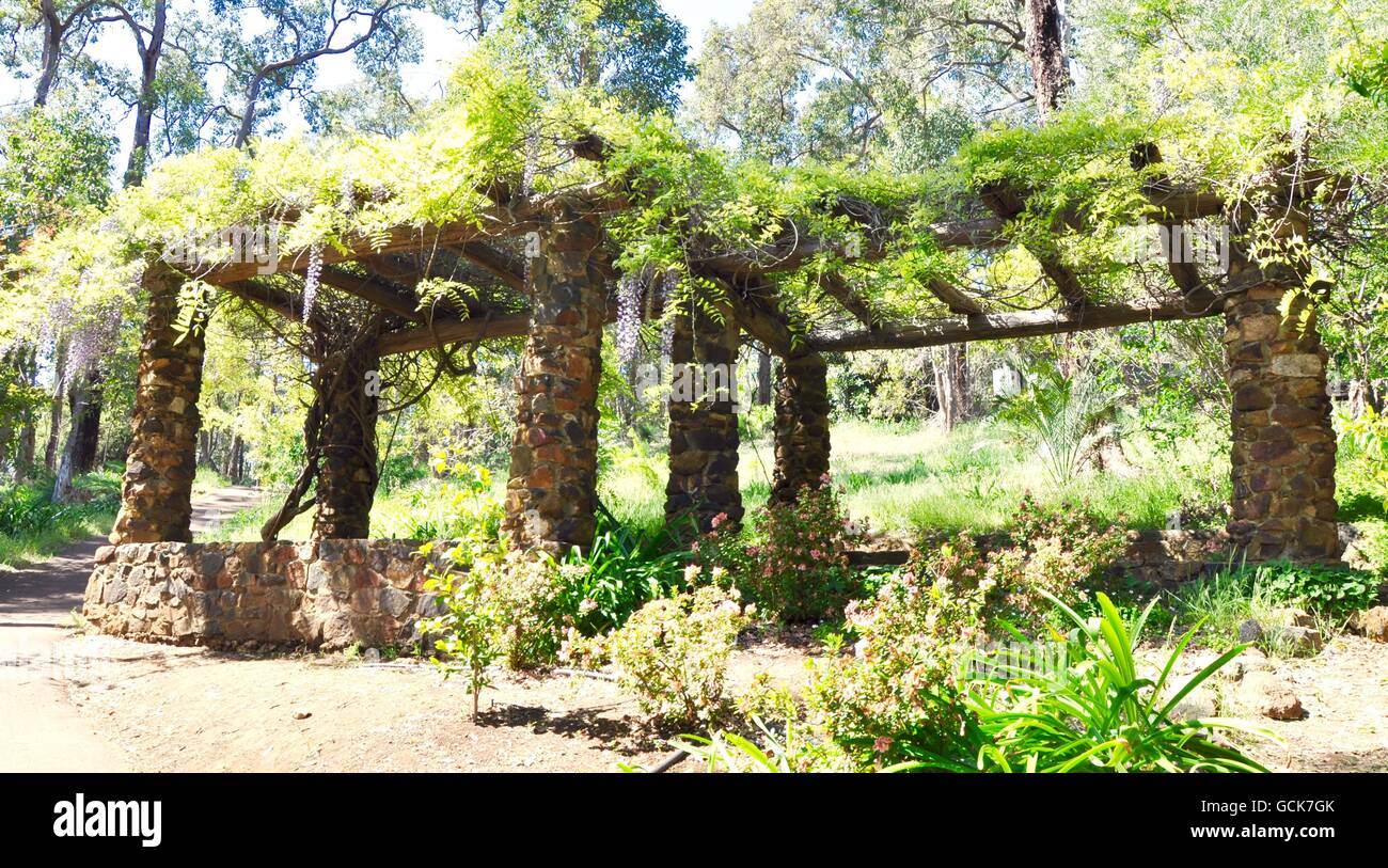Pergola structure with rock pillars and lush green foliage with purple ...