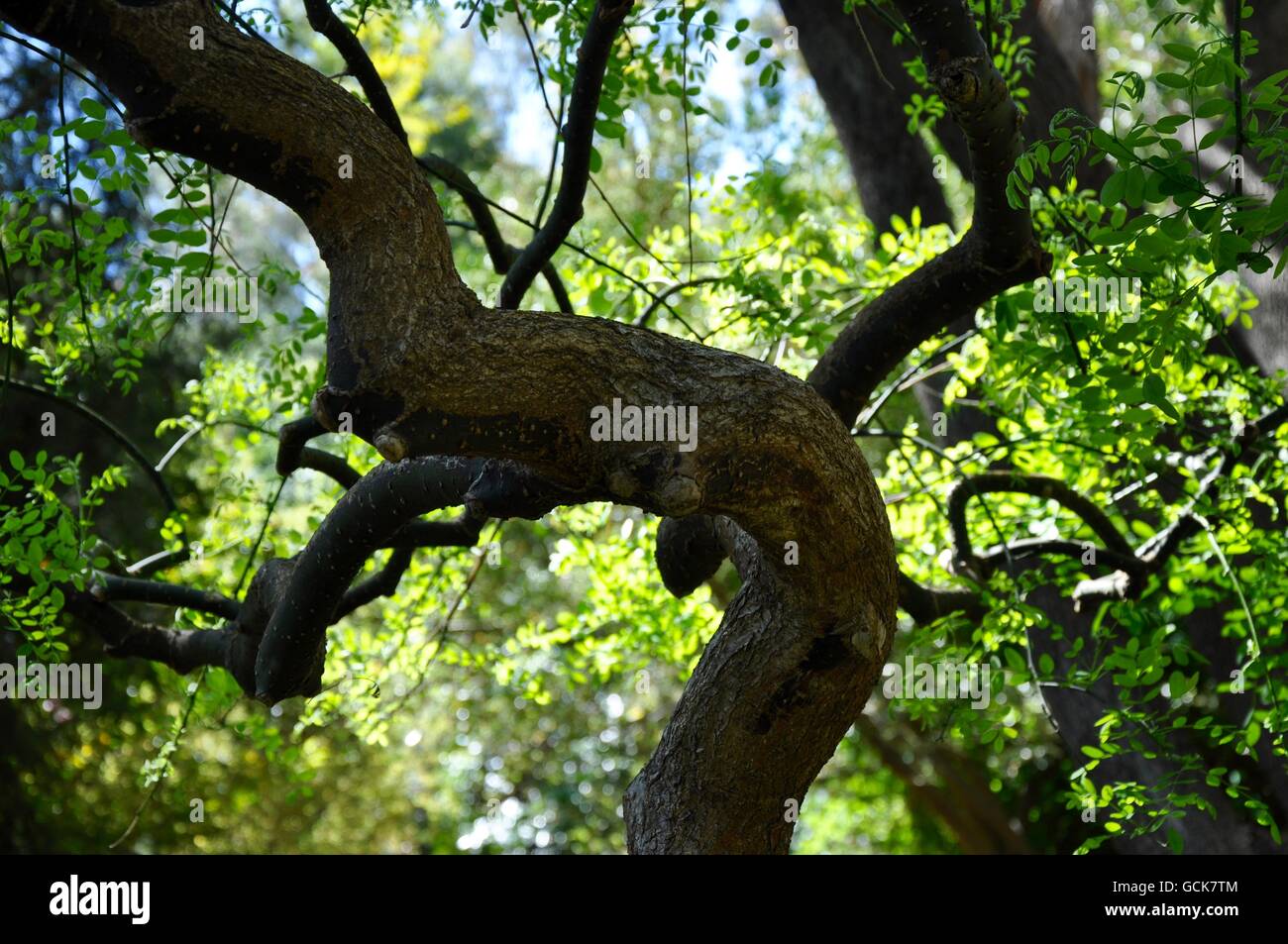 Bent bending hi-res stock photography and images - Alamy