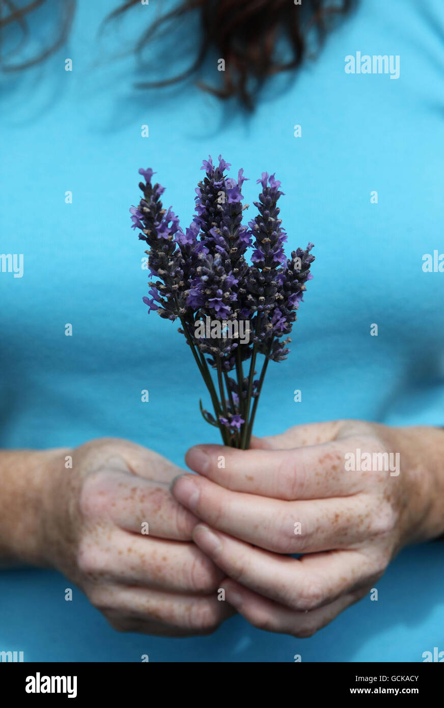 Janice abbott hi-res stock photography and images - Alamy