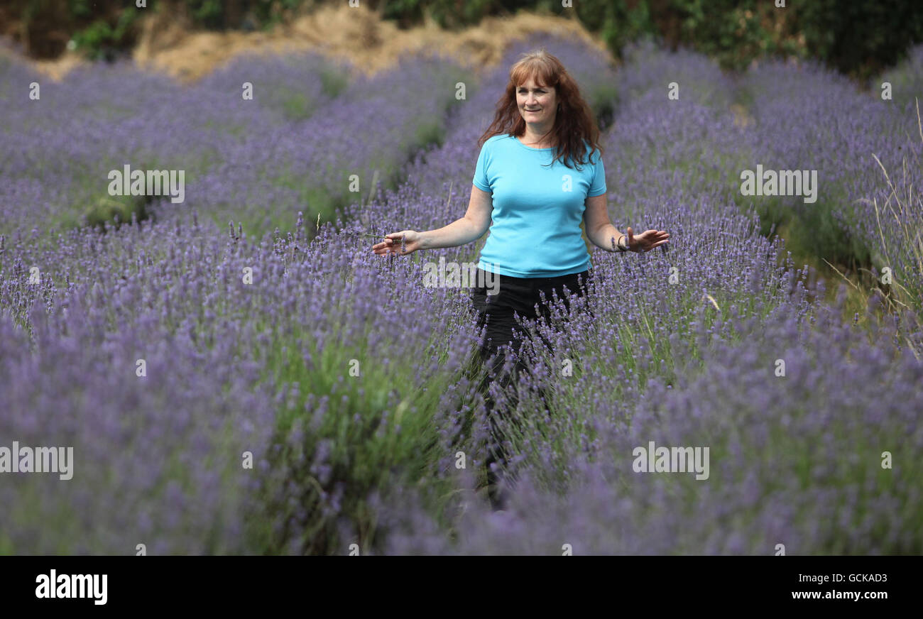 Janice Abbott, a London Fire Brigade worker from Cheam inspects the ...