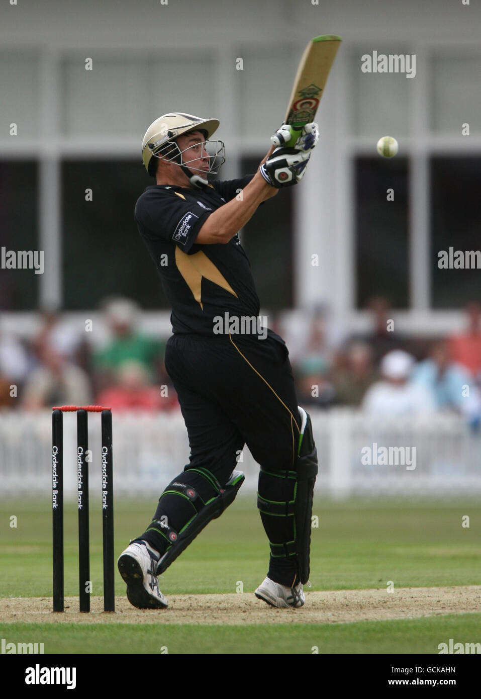 Shoulder bears hi-res stock photography and images - Alamy