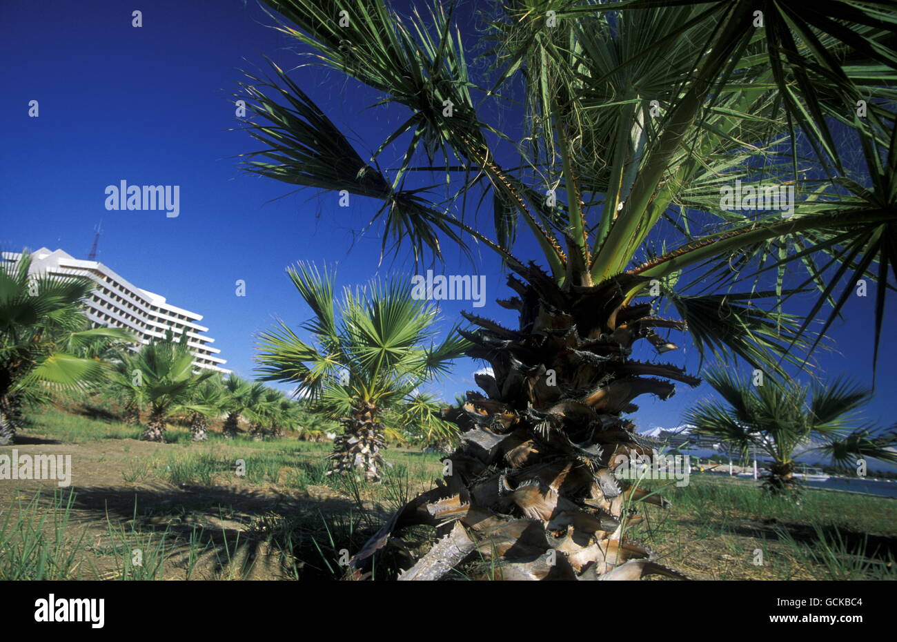 Lattakia High Resolution Stock Photography and Images - Alamy