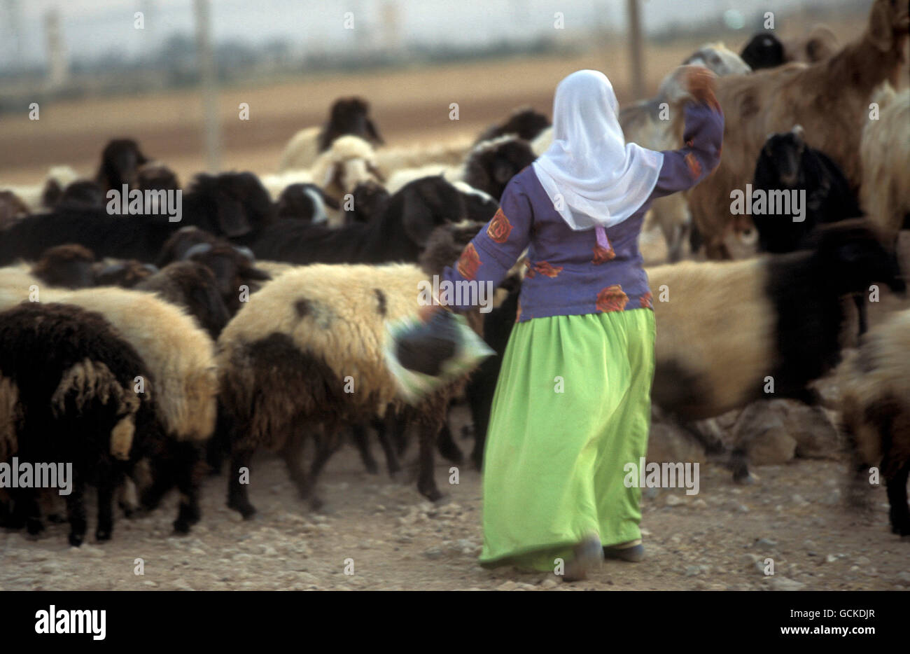 Farmer of syria hi-res stock photography and images - Alamy