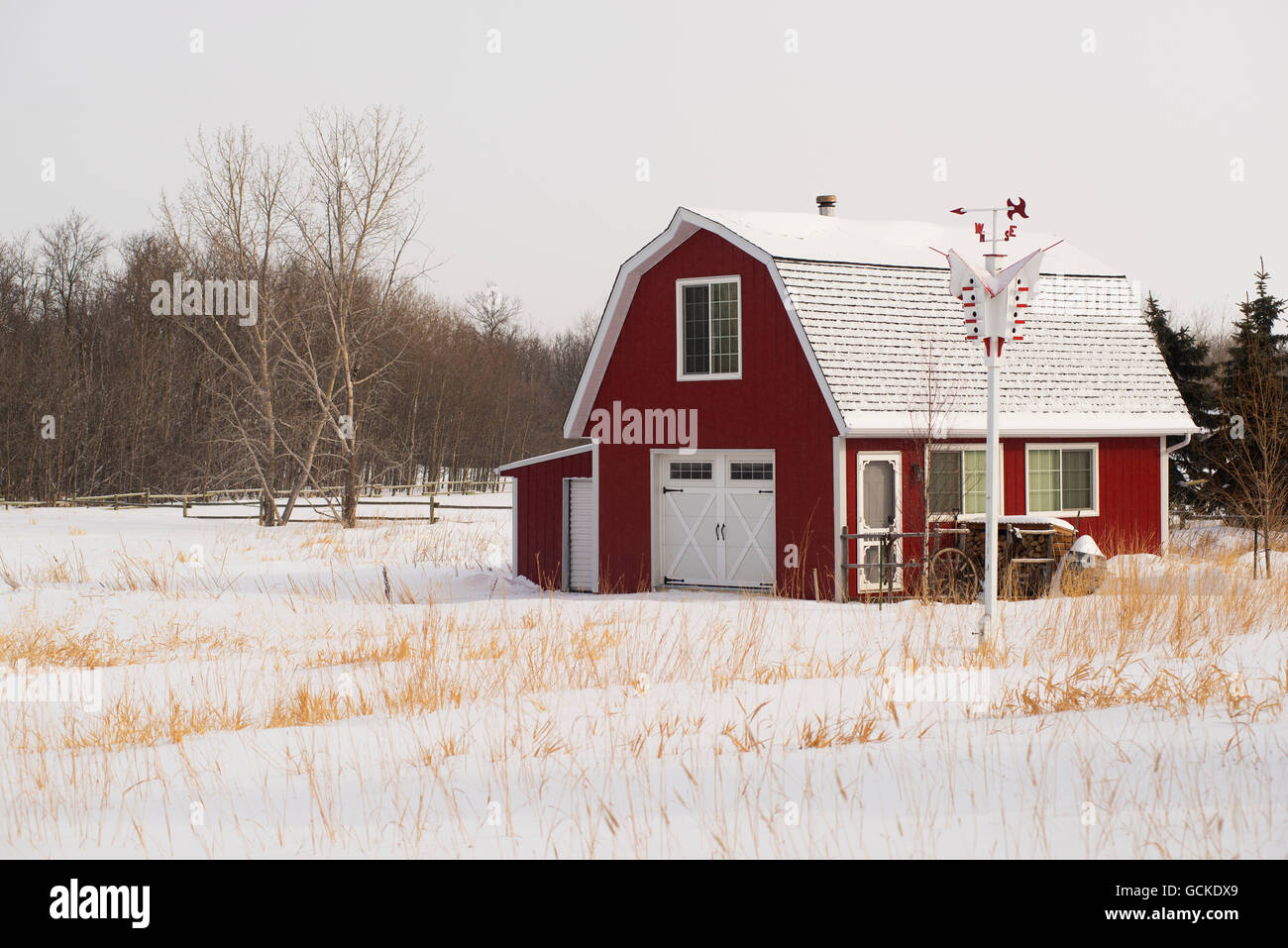 Urban forest manitoba hi-res stock photography and images - Alamy