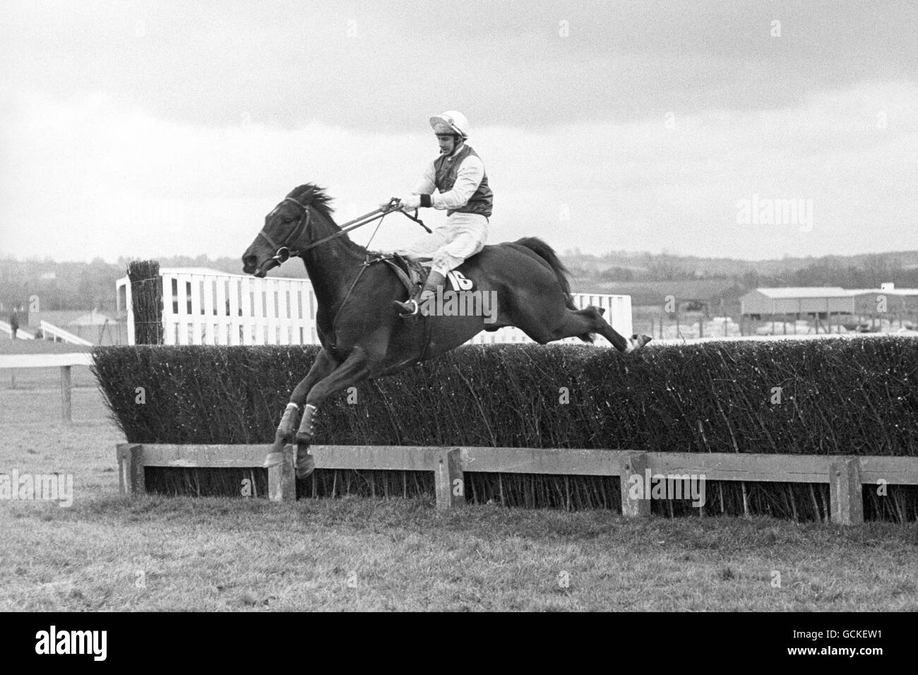 Jump jumping hurdle newburyhennessy newburysearch ...