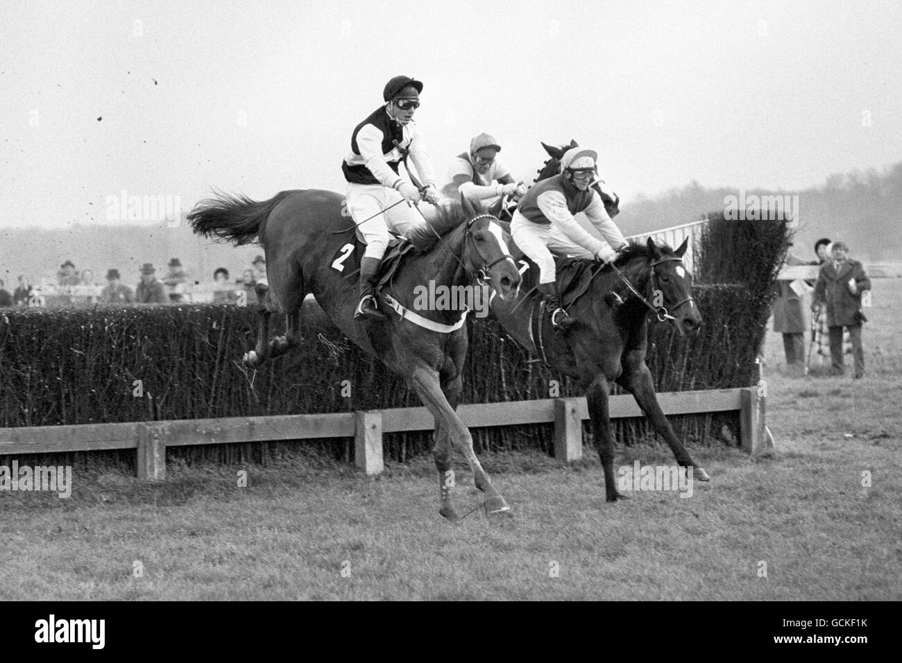 Hennessy cognac horse hi-res stock photography and images - Alamy