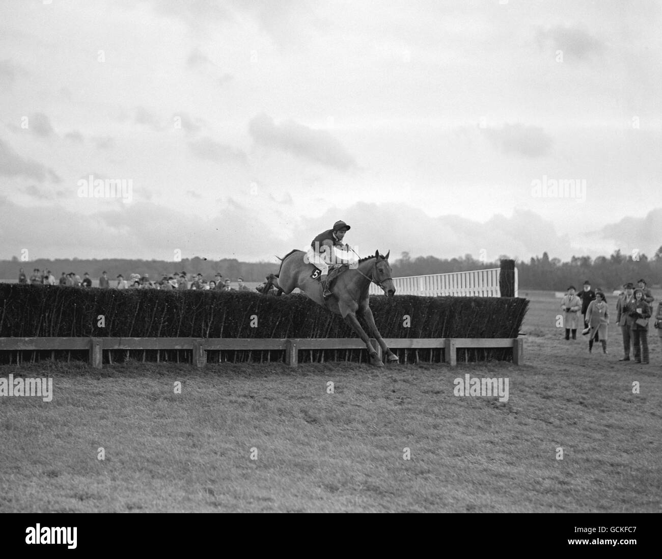 Horse Racing - Hennessy Cognac Gold Cup - Newbury Racecourse. Border ...