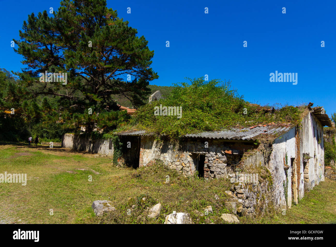 Old farmhouse ruins hi-res stock photography and images - Alamy