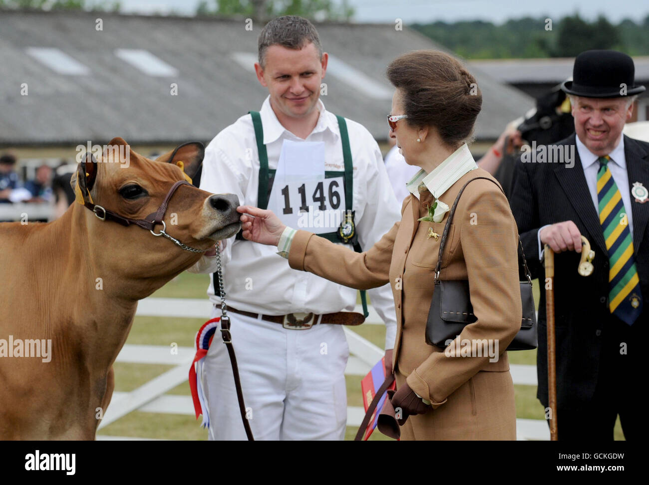 The Great Yorkshire Show Stock Photo - Alamy