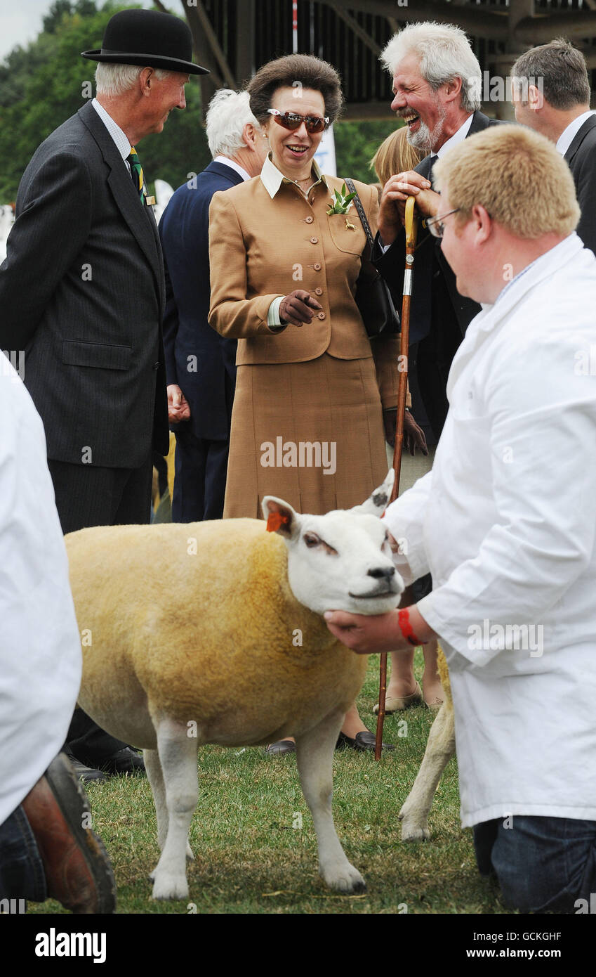 The Great Yorkshire Show Stock Photo - Alamy