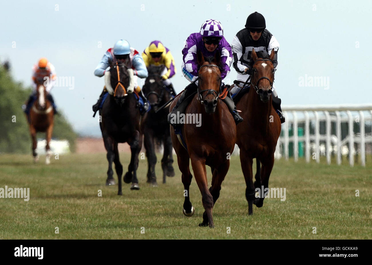 Fantasy horse hi-res stock photography and images - Alamy