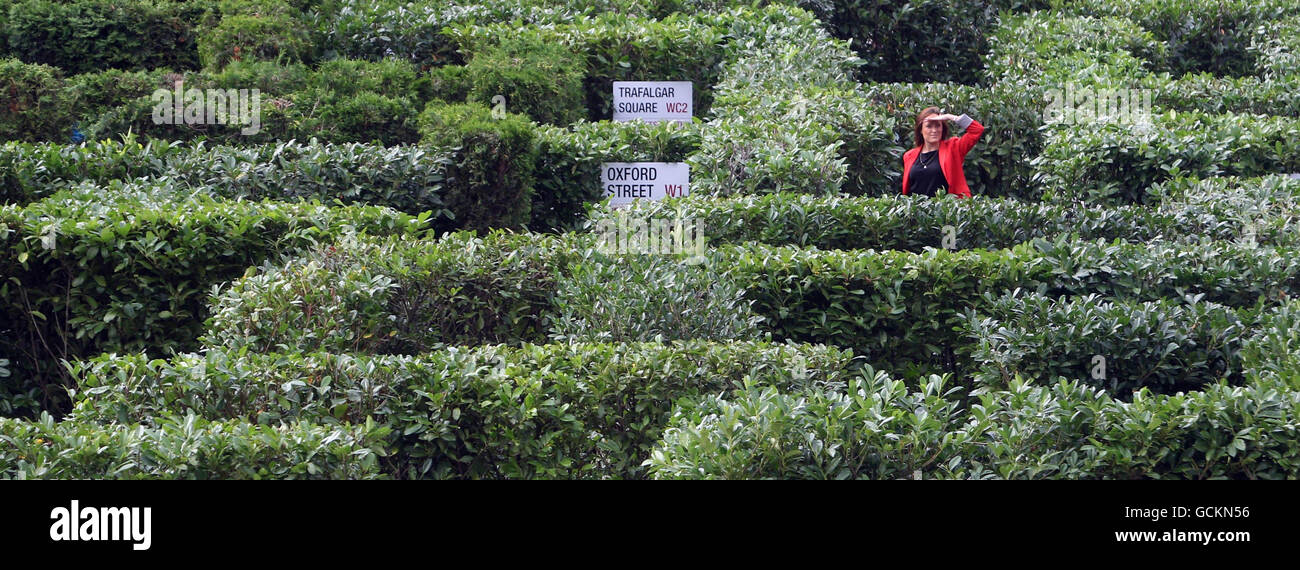 Trafalgar Square maze Stock Photo - Alamy