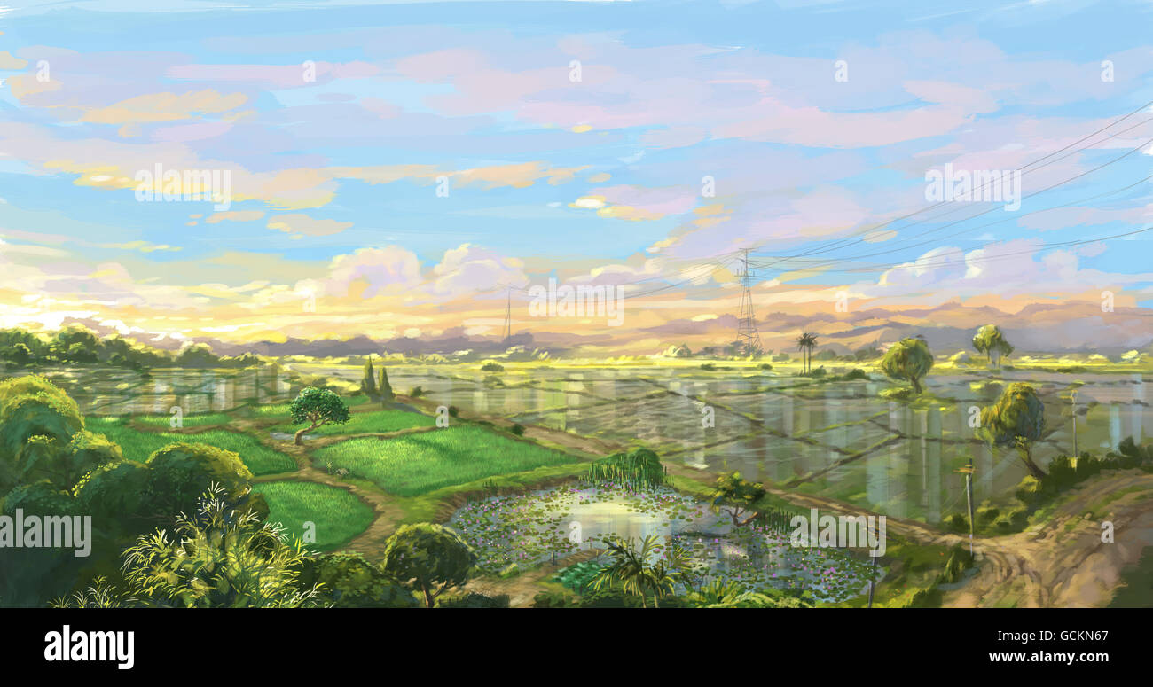 sunset rice field in rainy season digital color sketch Stock Photo - Alamy