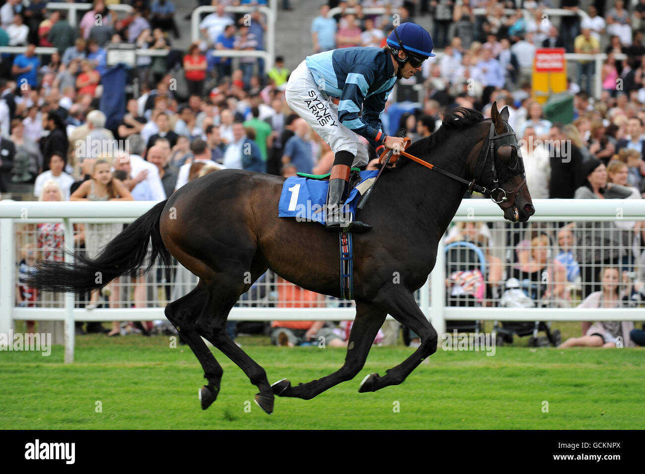 Horse Racing - Epsom Live! featuring Madness - Epsom Downs Racecourse ...