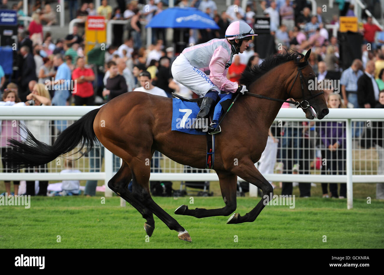 Pigeon Hollow ridden by jockey Sam Hitchcott going to post prior to the ...
