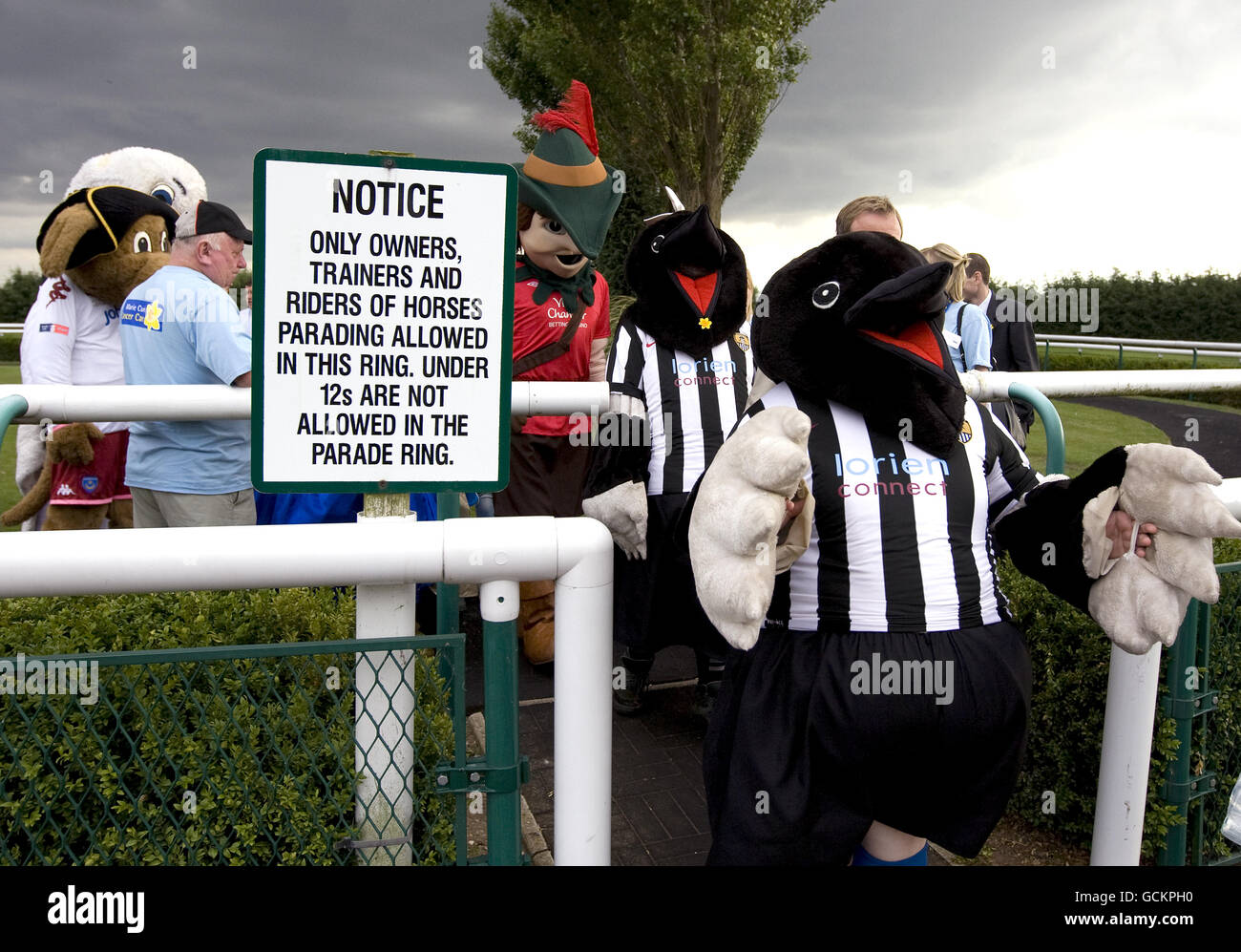 Mr and mrs magpie hi-res stock photography and images - Alamy