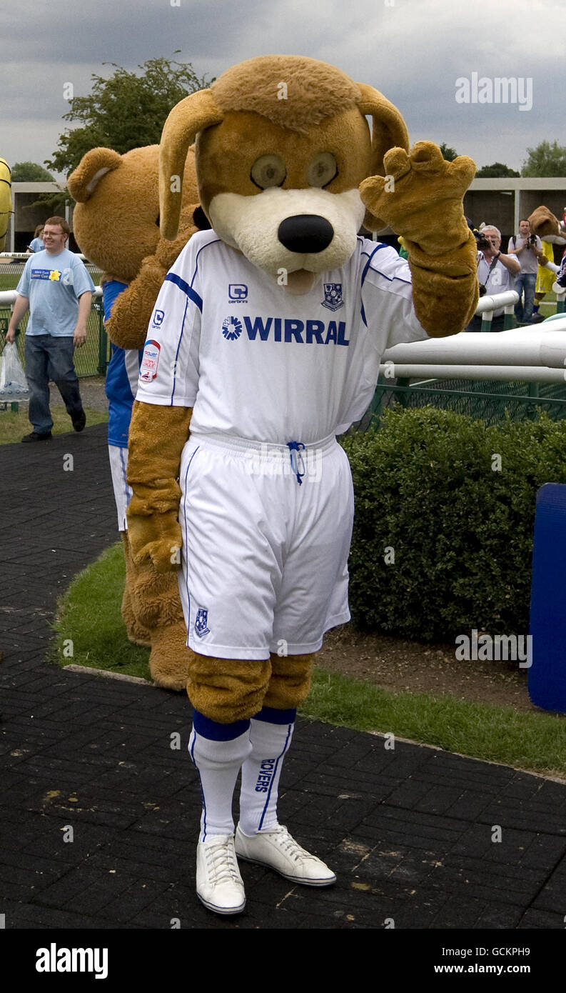 Horse racing races mascot masco full length fence rail hi-res stock ...