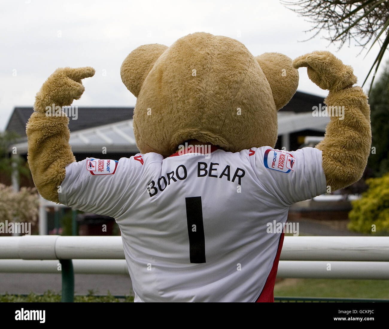 Stevenage Borough's Boro Bear in the parade ring prior to racing Stock ...
