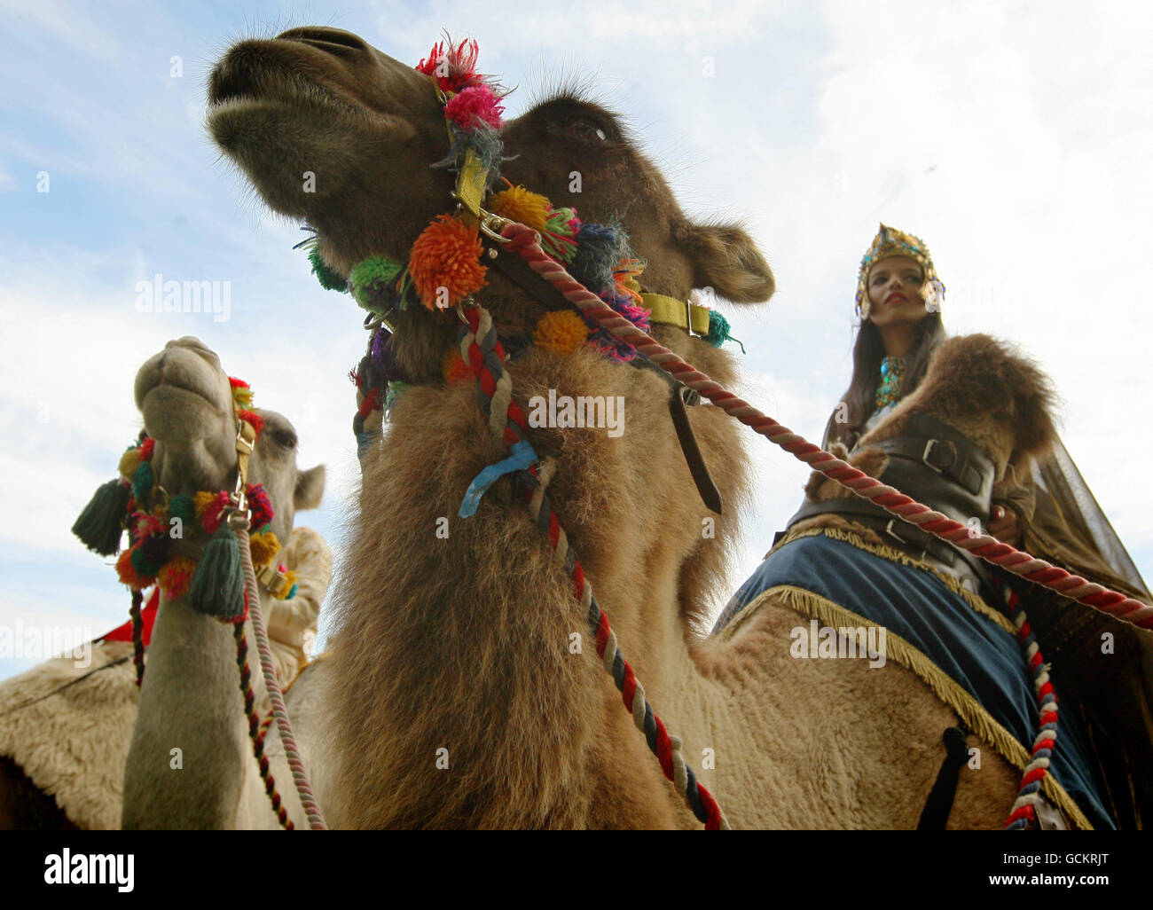 Camel travel bridge hi-res stock photography and images - Alamy