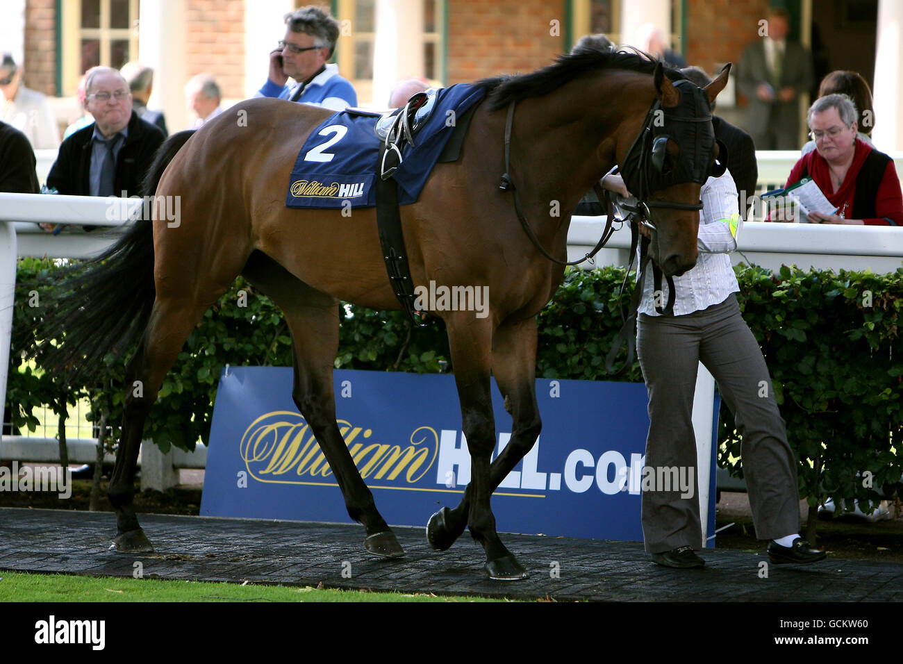 Horse Racing - Ripon Racecourse Stock Photo - Alamy