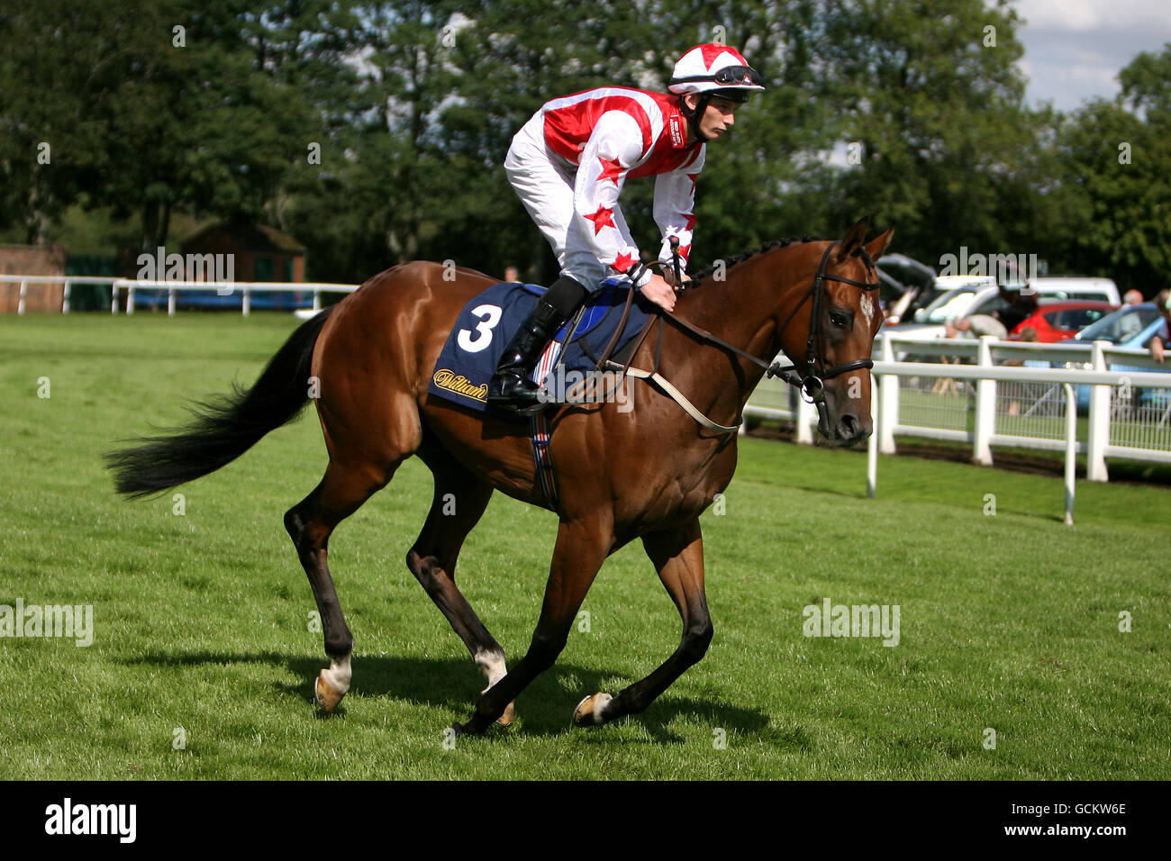 Horse Racing - Ripon Racecourse Stock Photo - Alamy
