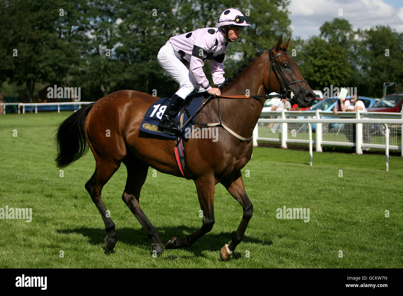 Horse Racing - Ripon Racecourse Stock Photo - Alamy