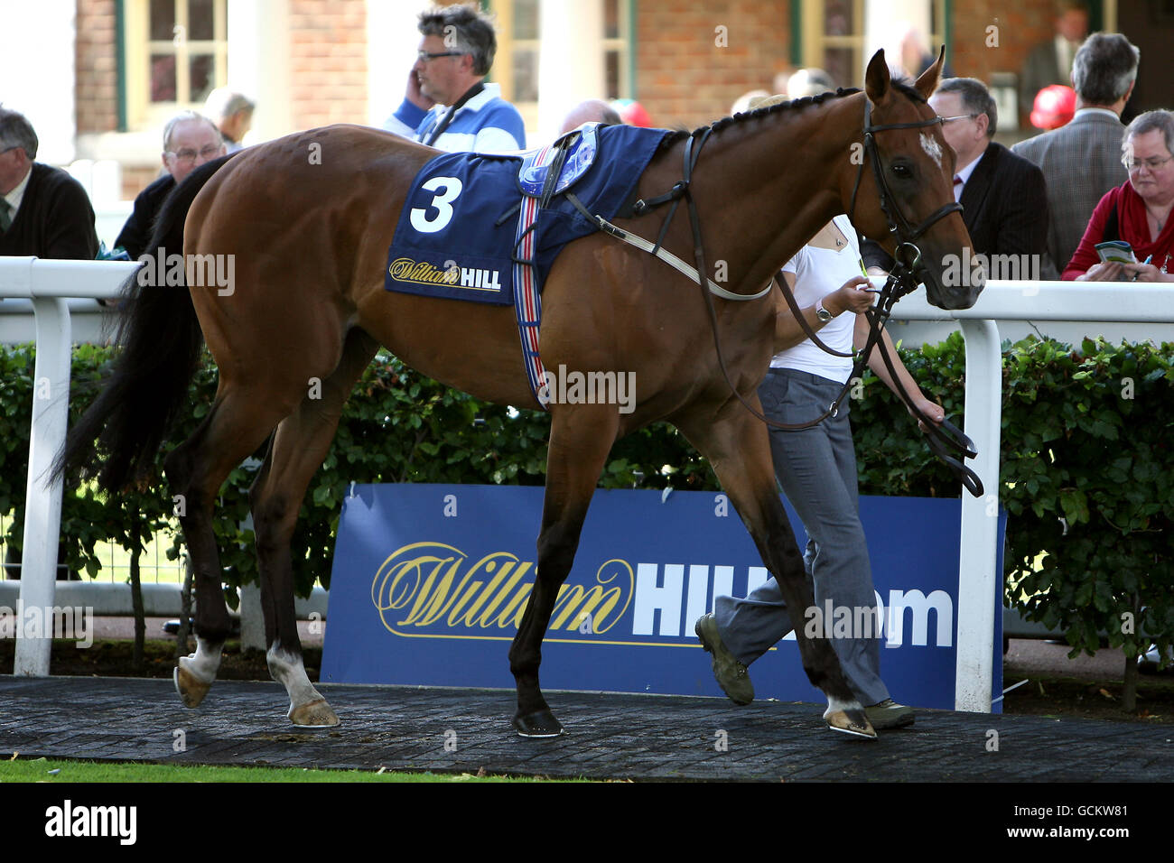Horse Racing - Ripon Racecourse Stock Photo - Alamy
