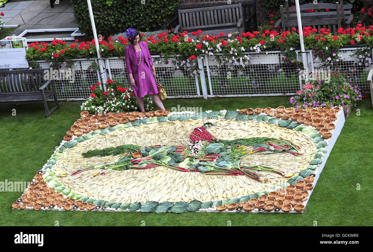 York ebor race meeting hi-res stock photography and images - Alamy